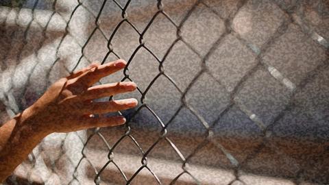 In a Science Review, Christopher Wildeman writes on the harm that mass ...